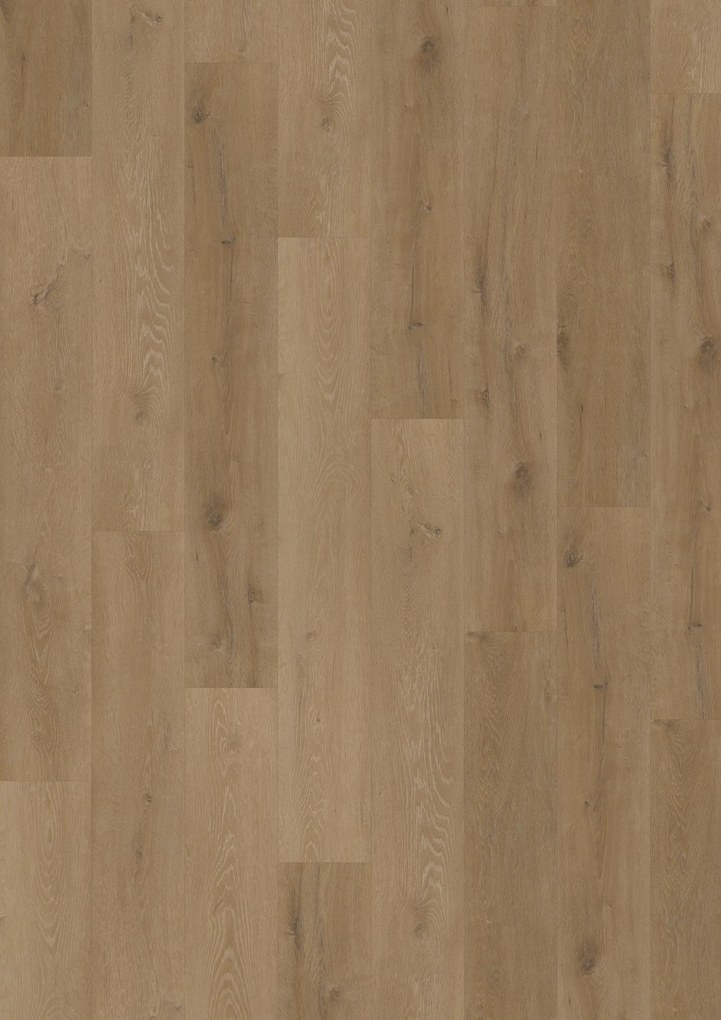Vinylová podlaha lepená ECO 55 059 Prestige Oak Light Amber, 1219,2 x 184,1 mm, Oneflor