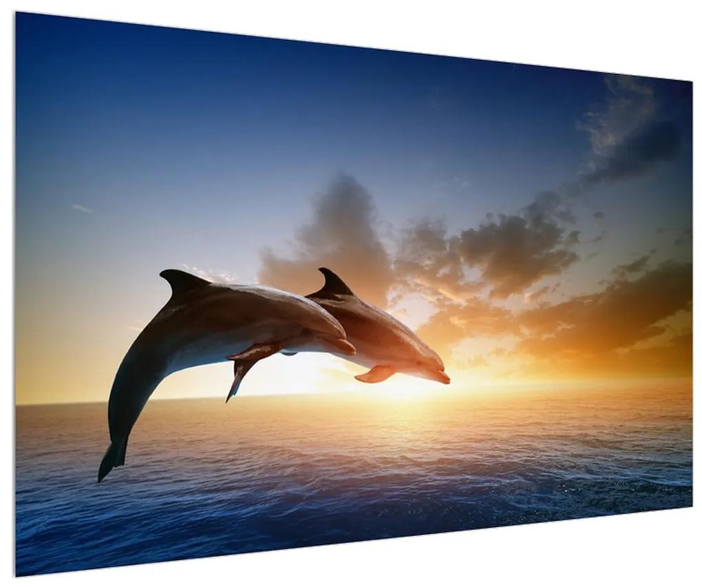 Obraz delfínů (120x80 cm)