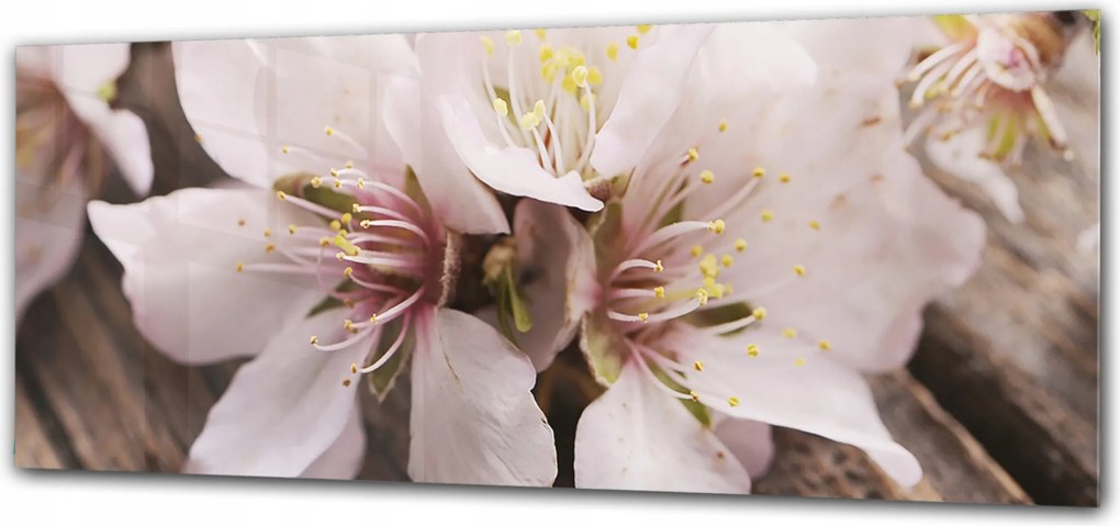 grafika sklo skleněný obraz květina 137x55