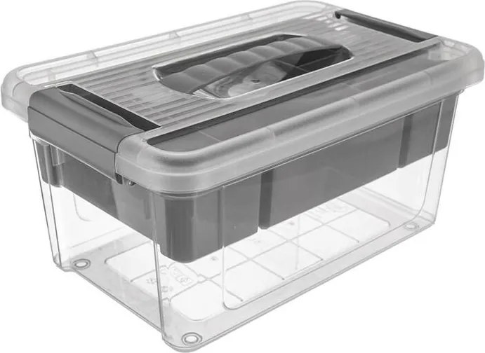 Úložný box s víkem a vyjímatelným vkladem 9 l