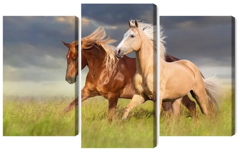 Vícedílný obraz Koně Cválající Na 3D Louce Nedostatek Nedostatek Přírodní plátno 60x40