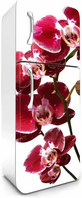 Fototapeta na lednici Orchid 65 x 180 cm FR180-014