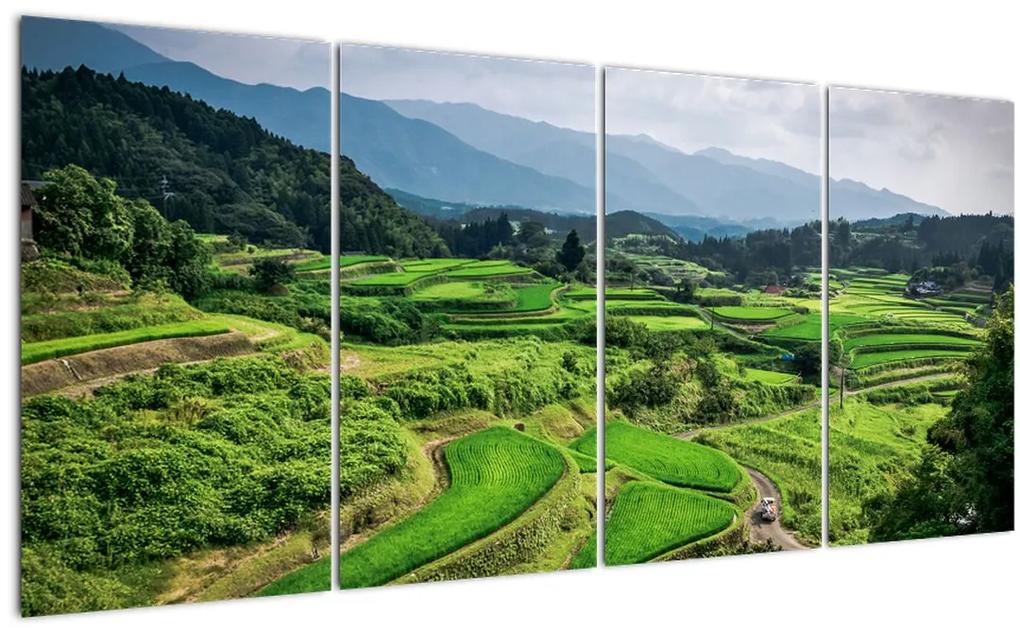 Obraz rýžových polí (160x80 cm), 40 dalších rozměrů