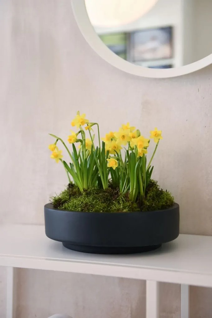 Mísa na květiny ESCADA LOW, sklolaminát, průměr 30 cm, antracit