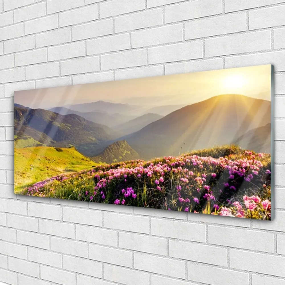 akrylový obraz Hora Louka Krajina 125x50 cm