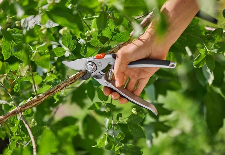 © 2026 GARDENA Zahradní nůžky Premium BP 50