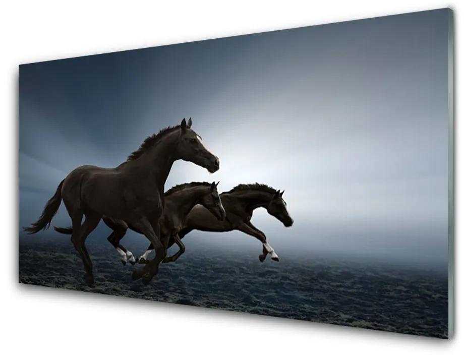 Obraz na skle Koně Zvířata 125x50 cm