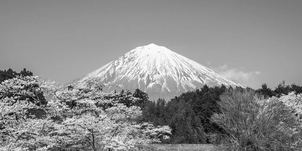 Obraz hora Fuji v černobílém provedení - 120x60 cm