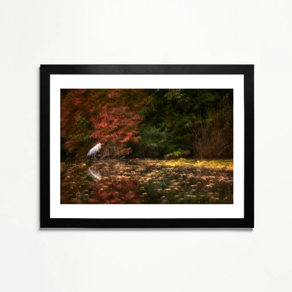 Jiří Hřebíček | Silent Autumn Admirer Rám: Bílý, Velikost: 20 x 30 cm