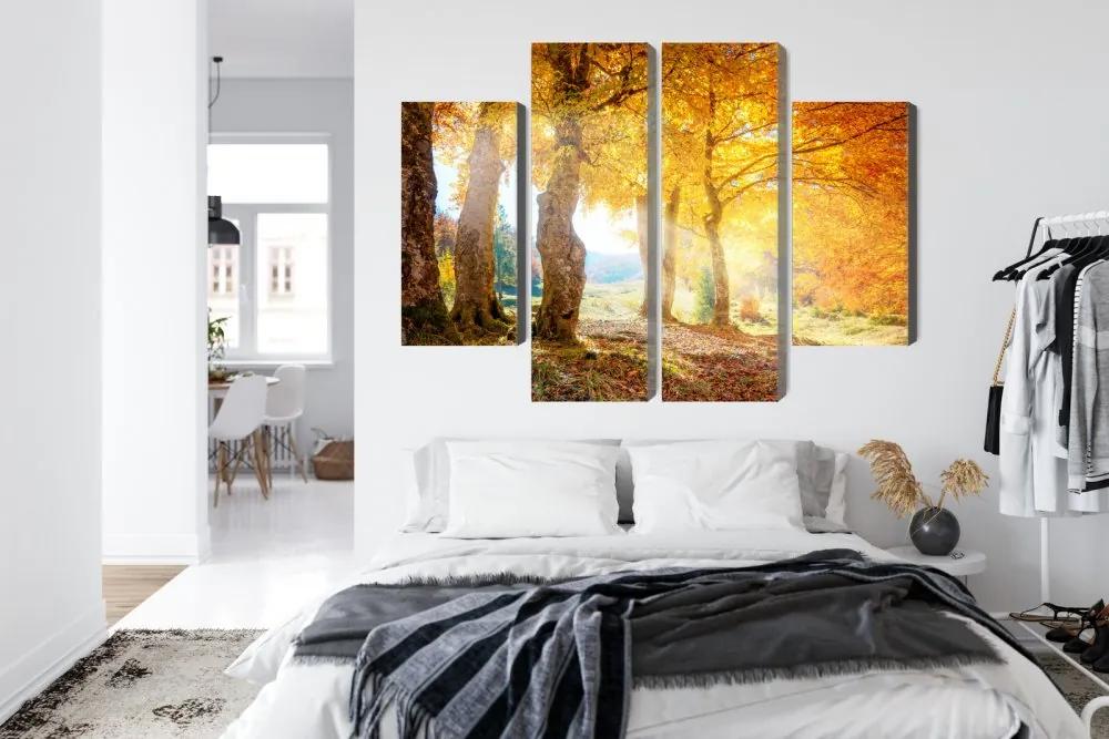 Vícedílný obraz Slunečný Podzimní Les Nedostatek Nedostatek Přírodní plátno 120x90