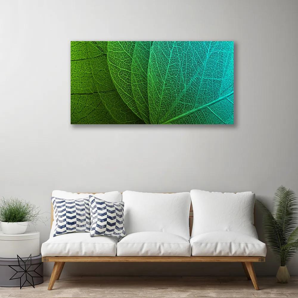 Obraz na plátně Abstrakce Listy Rostlina 100x50 cm