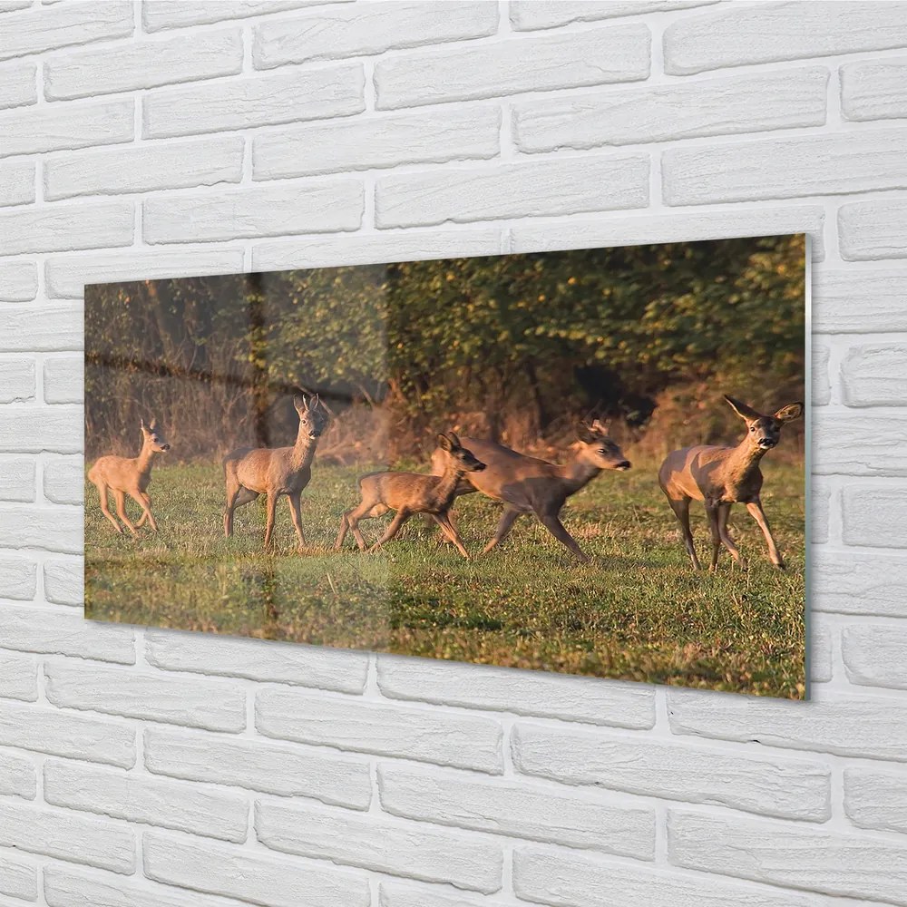 akrylový obraz Deer Golf svítání 125x50 cm