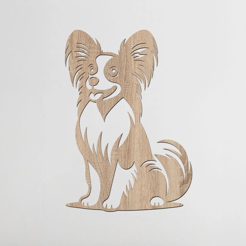 dřevo života Dřevěný obraz psa Papillon Zvolte rozměr (cm): 28x40, Zvolte barvu dekoru: Dub Sonoma