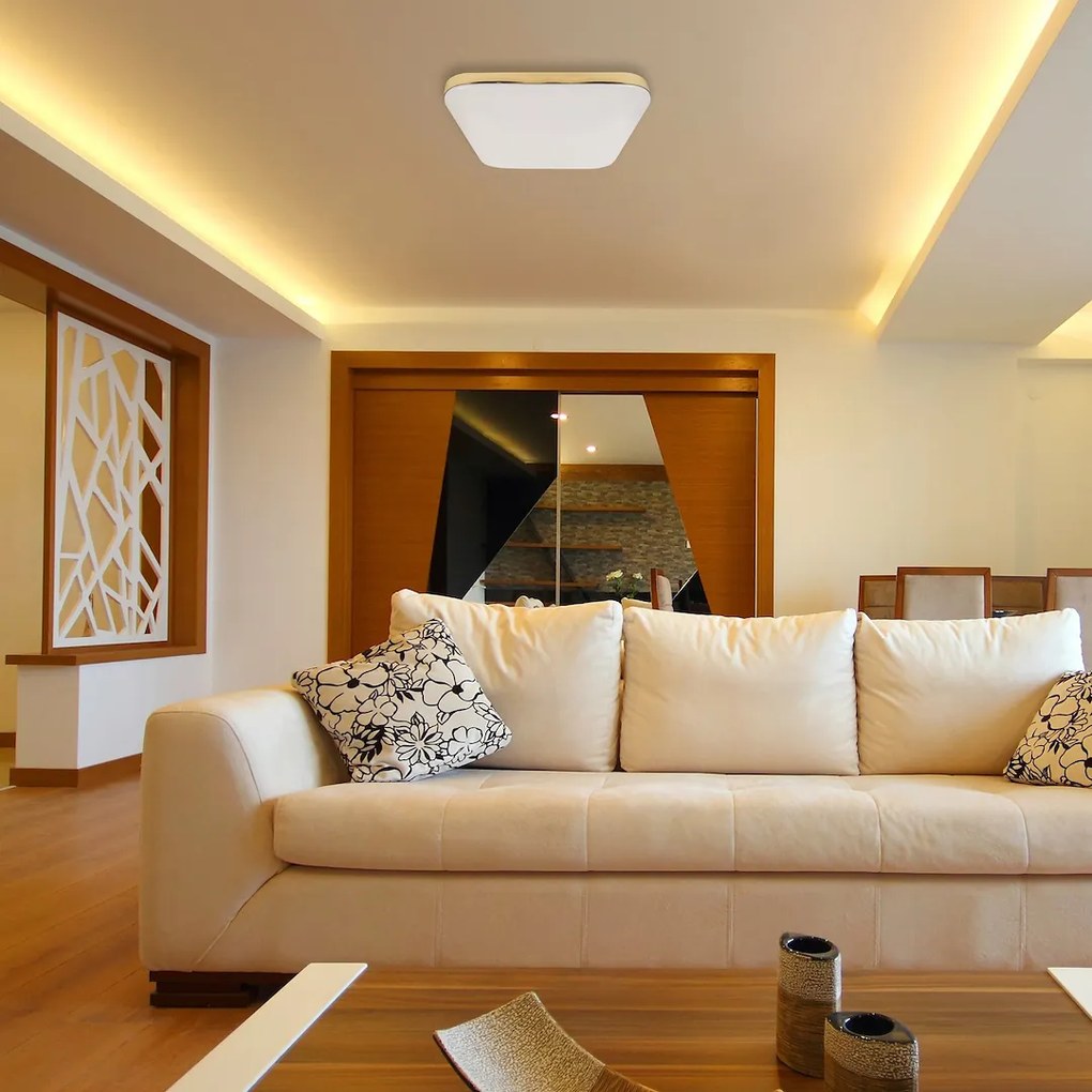 Stropní LED svítidlo Nemo, 1x LED 17w, 4000k, g