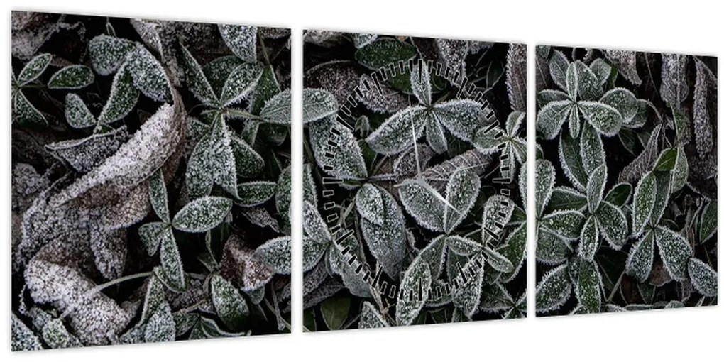 Obraz - Zmrzlé rostliny (s hodinami) (90x30 cm)