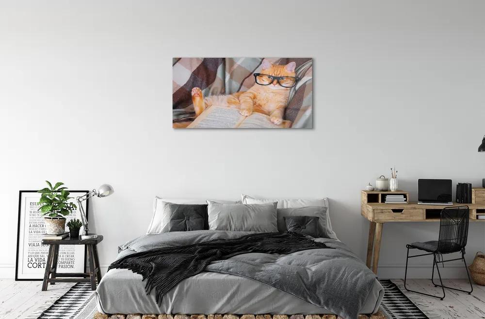 akrylový obraz Čtenář cat 100x50 cm