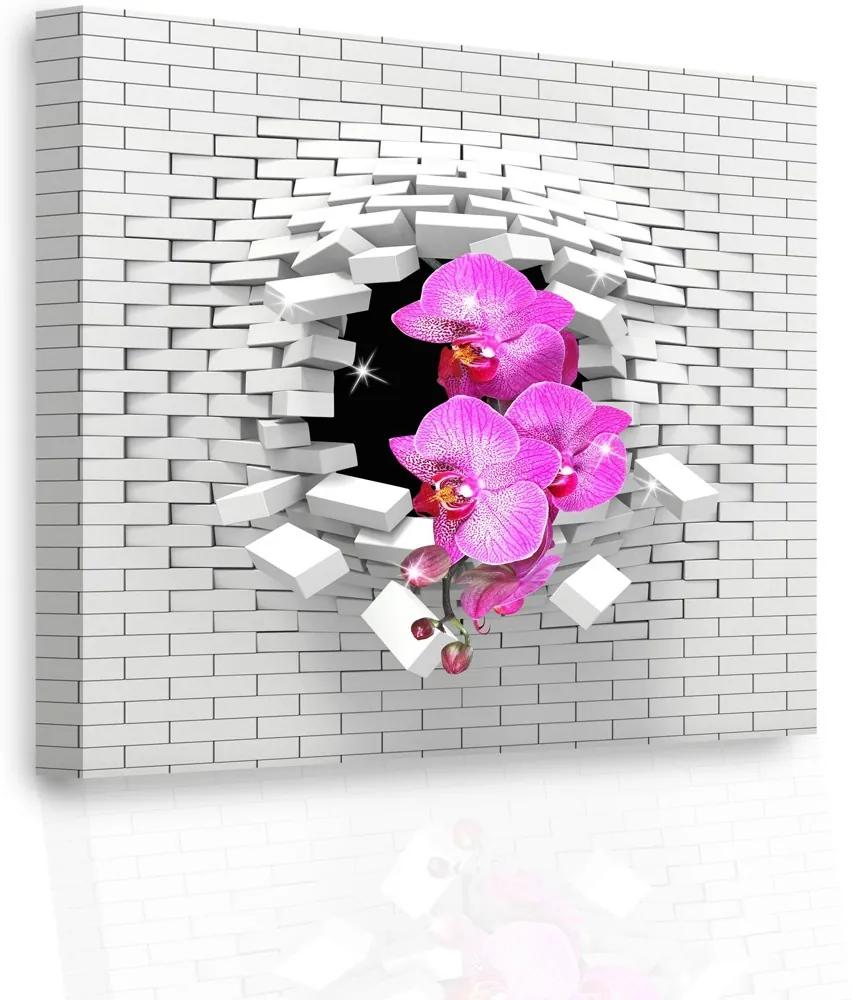Luxusní obraz - orchidej (80x80 cm) - InSmile ®