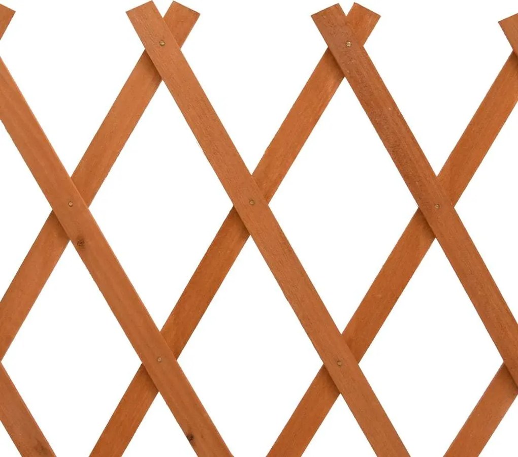 vidaXL Zahradní trelážový plot 120 x 60 cm masivní jedle [314823] Barva: Oranžová