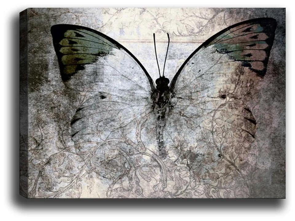 Obraz Tablo Center Fading Butterfly, 70 x 50 cm