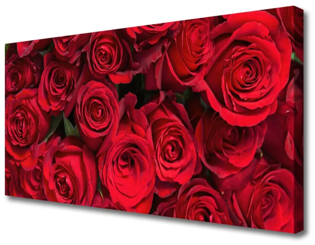 Obraz Canvas Červené Růže Květiny Příroda