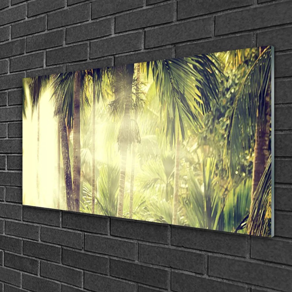 Obraz na skle Les Palmy Stromy Příroda 120x60 cm