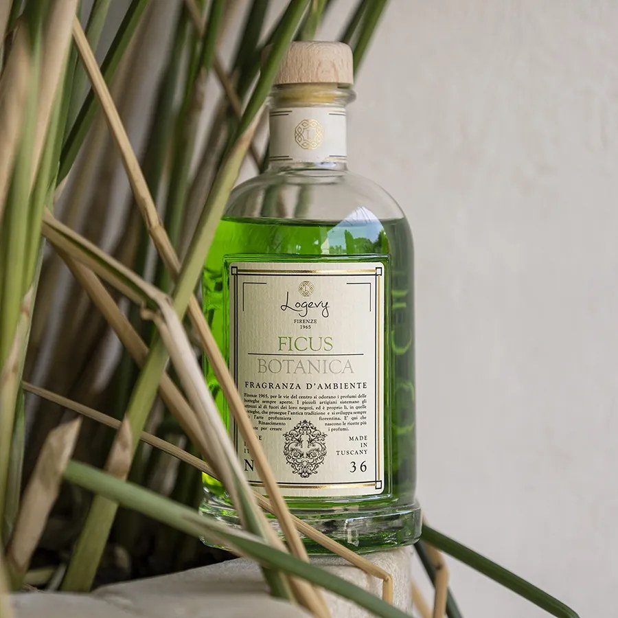 Logevy Firenze 1965 difuzér Ficus Botanica Objem: 1 l