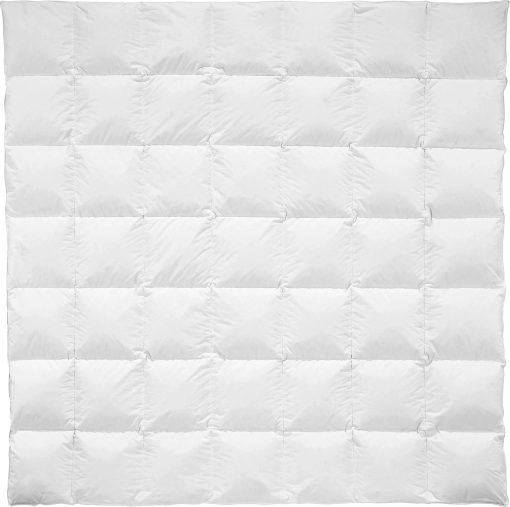 XXXLutz CELOROČNÍ PŘIKRÝVKA, 200/200 cm, prachové peří Billerbeck - Přikrývky - 003279008303