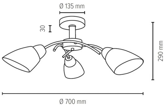 Spot-Light 8141374 - Přisazený lustr VILETTA 3xE27/60W/230V