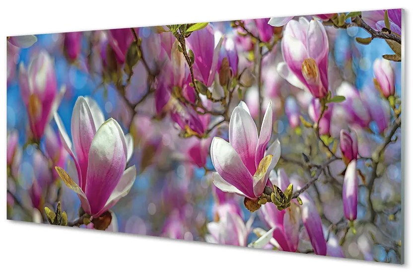 akrylový obraz magnolie strom 125x50 cm