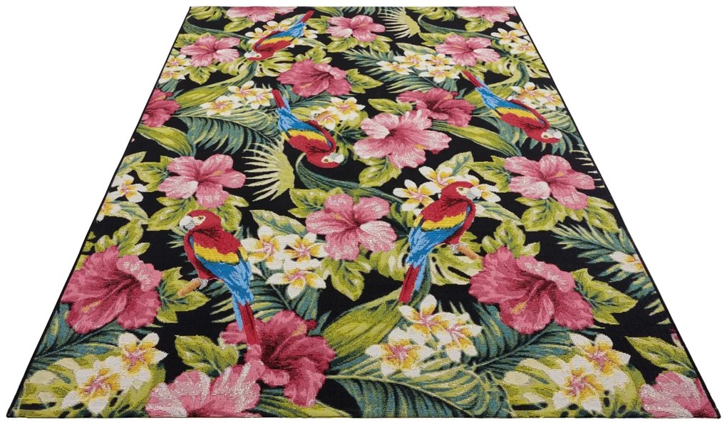 Hanse Home Collection koberce Kusový koberec Flair 105619 Tropical Feeling Multicolored – na ven i na doma - 200x285 cm