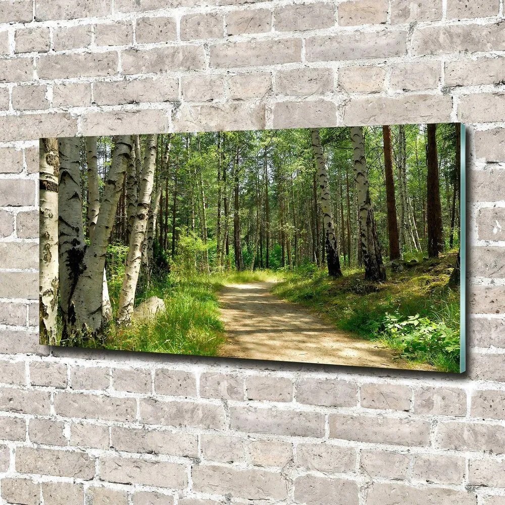Wallmuralia Foto obraz skleněný horizontální Stezka v lese 140x70 cm