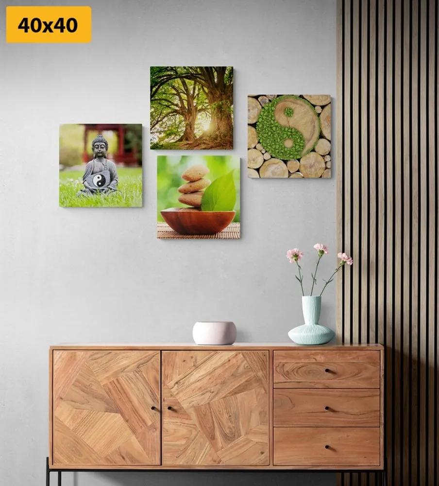 Set obrazů Feng Shui v zeleném provedení - 4x 60x60 cm