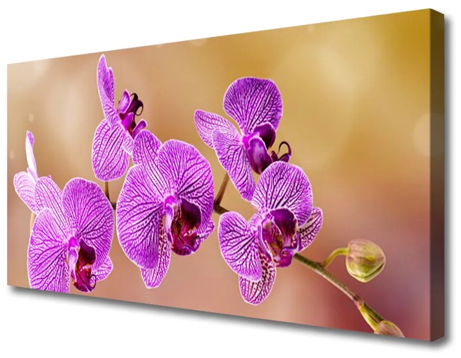 Obraz na plátně Orchidej Výhonky Květiny Příroda 140x70 cm