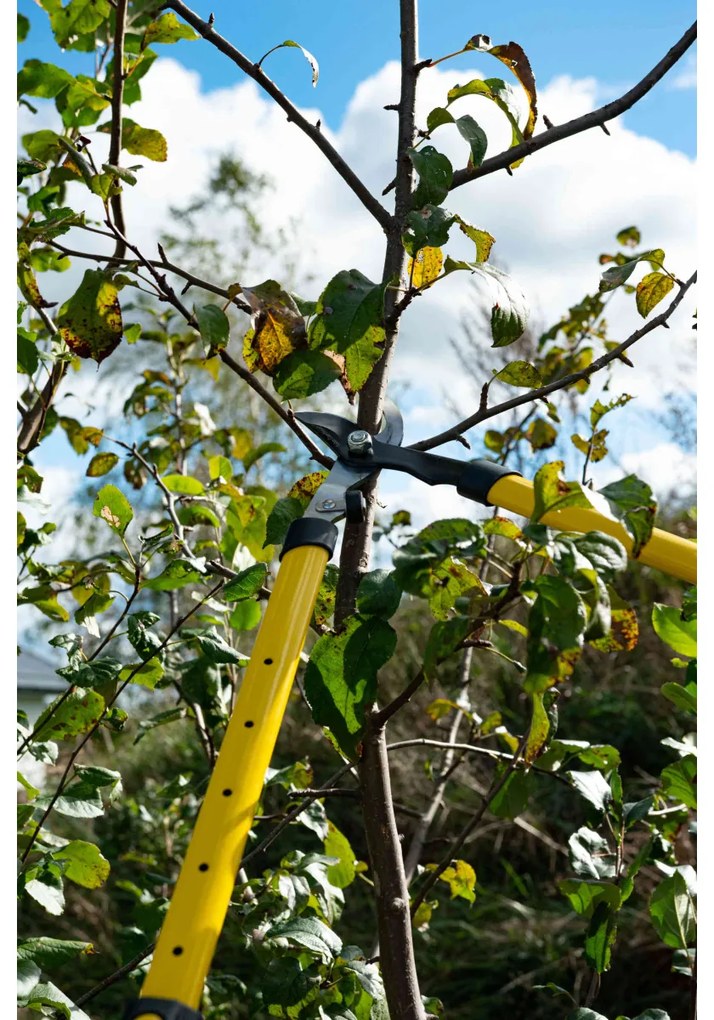 Nůžky na větve teleskopické pákové GEKO, 655-900 mm
