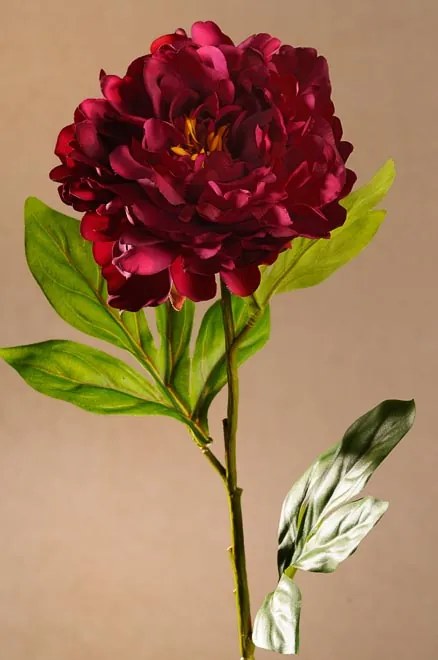 Paramit BLOOMING PEONY Aranžovací květina vínová 77 cm