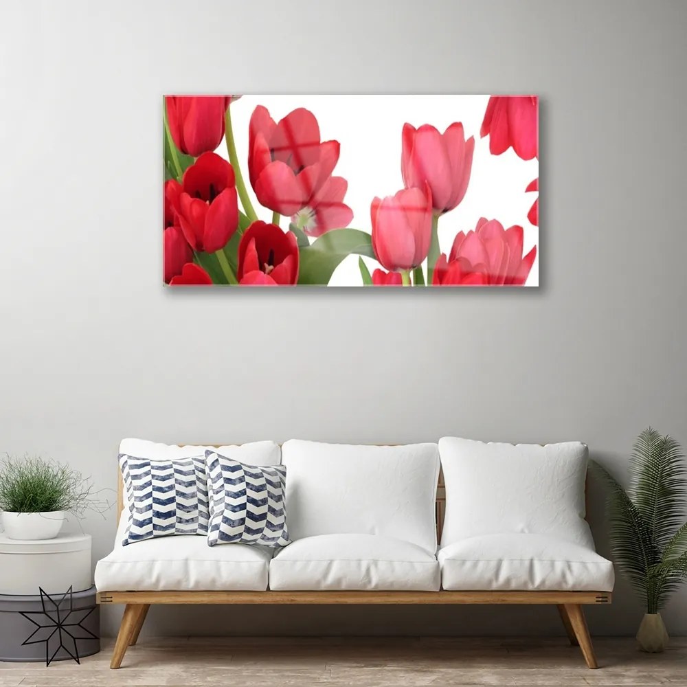 Obraz na skle Tulipány Květiny Rostlina 120x60 cm