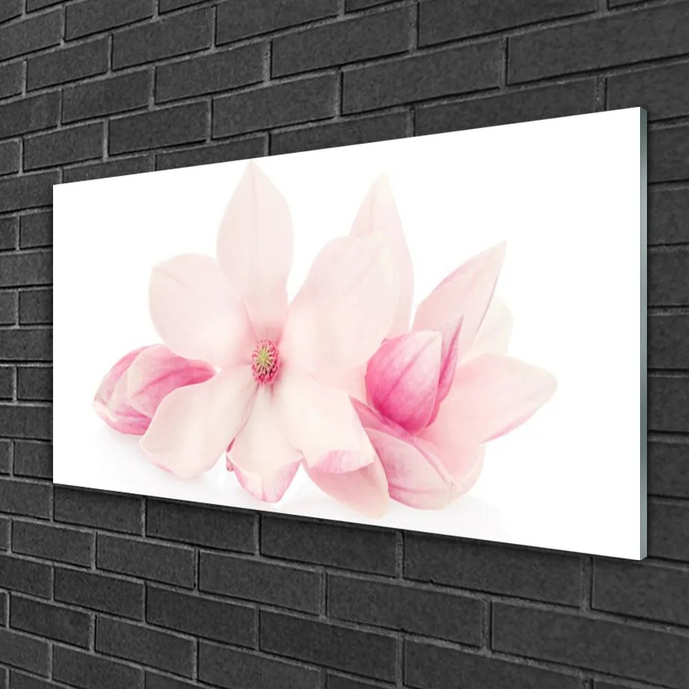 Obraz na skle Květiny Plátky Rostlina Příroda 120x60 cm