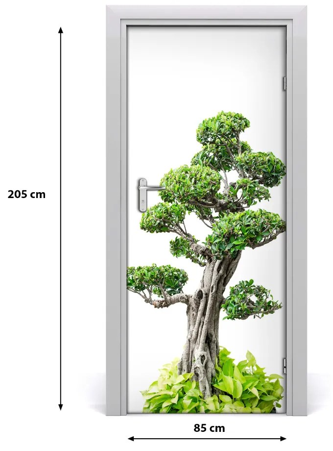 Fototapeta samolepící bonsai 85x205 cm