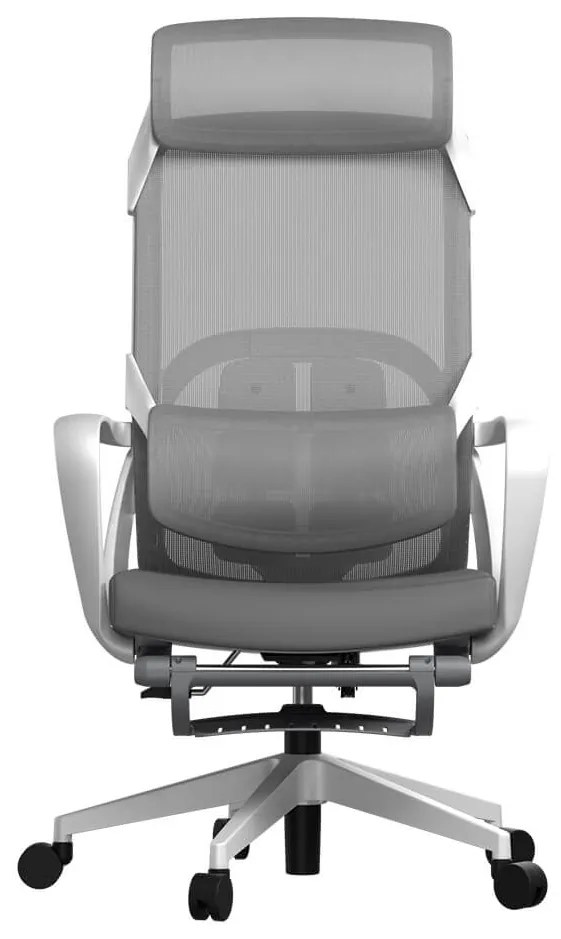 Ergonomická kancelářská židle Liftor Orca, šedá