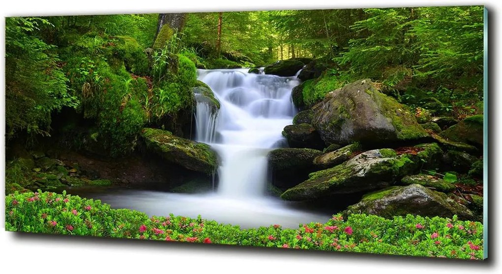 Fotoobraz na skle Vodopád v lese
