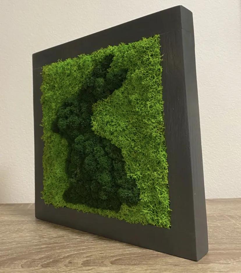 Mechový obraz Růst| sobí mech Rozměr obrazu: 100x100 cm, Barva rámu: Přírodní (světlé dřevo), Síla rámu (pohledová): 3,7 cm