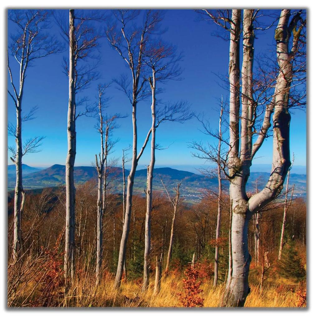 Malvis ® Obraz Cestou z Lysé hory Velikost (šířka x výška): na výšku - 80x120 cm