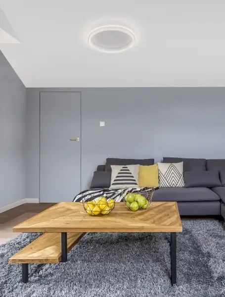 LED stropní svítidlo Willow R 45 bílé