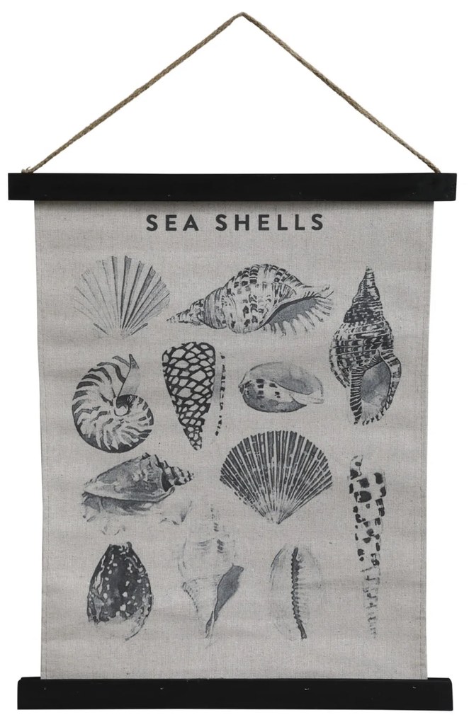 Chic Antique Plakát v klipu Sea Shells 50x40cm, béžová barva, černá barva, textil