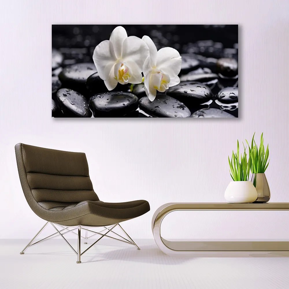 Plexisklo-obraz Kameny Zen Bílá Orchidej 120x60 cm