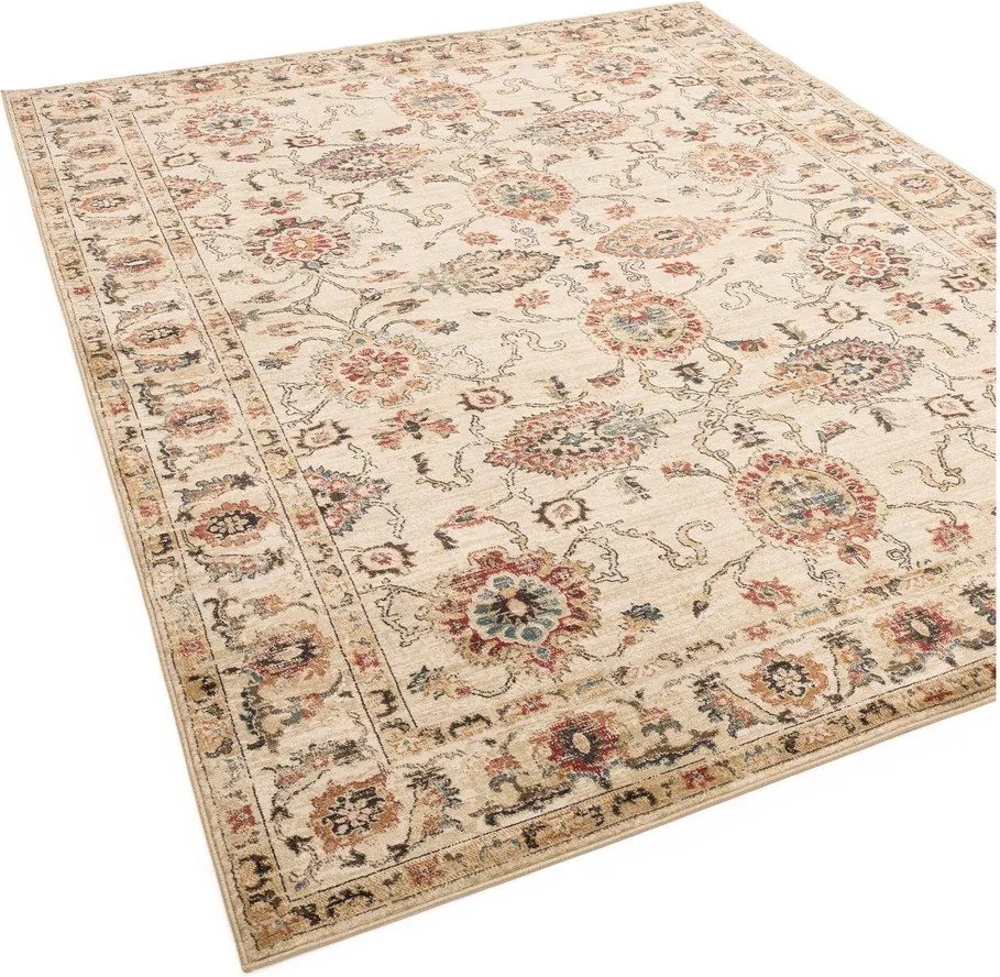 Béžový koberec 160x220 cm Raja – Asiatic Carpets