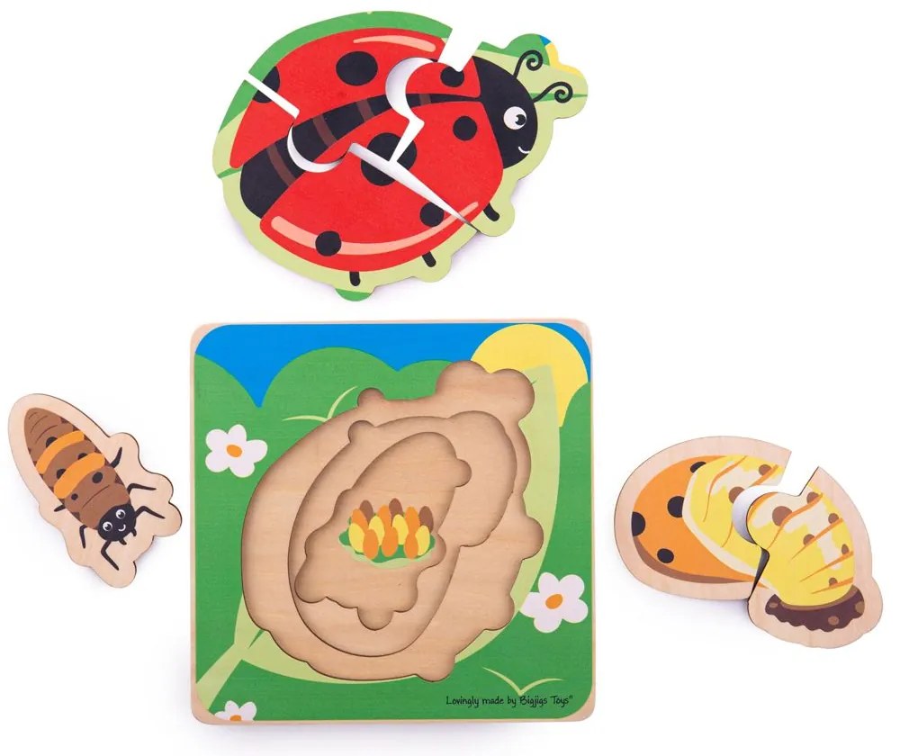 Bigjigs Toys Vkládací puzzle životní cykly berušky