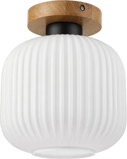 Stropní svítidlo HARMA WOOD 1xE27/15W/230V dub/bílá pr. 20 cm