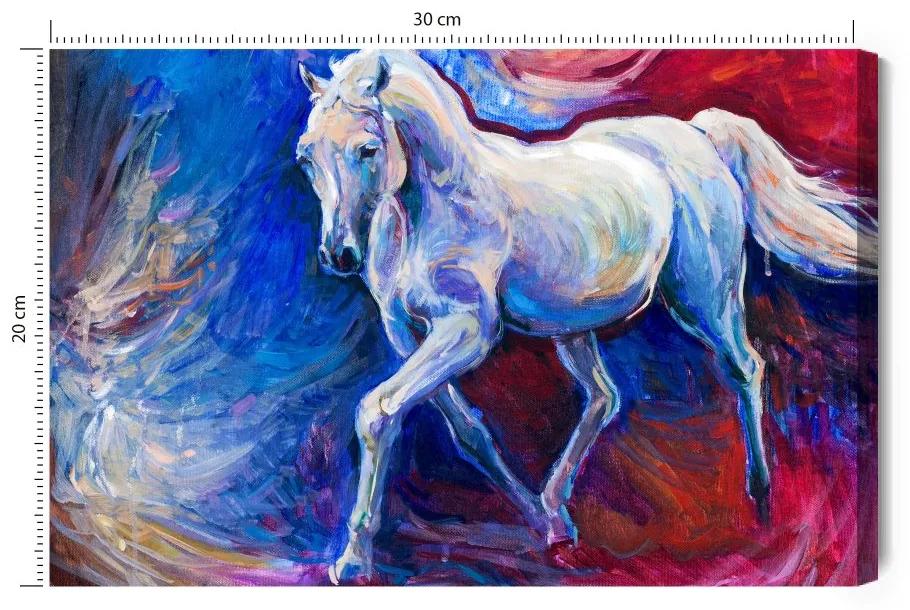 Obraz Kůň Na Abstraktní Pozadí Nedostatek Nedostatek Přírodní plátno 100x70