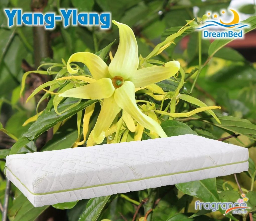 Matrace Ylang z paměťové pěny DreamBed - 80x195cm